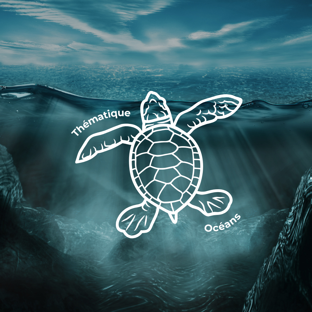 Protection des océans : agir concrètement avec 1% for the Planet France ...